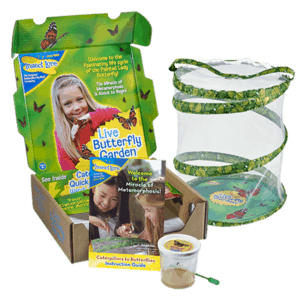 From Soil to Seeds, Engaging Gardening Kits for Kids - Happy Strong Home