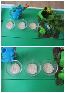 Proper Plant Watering Learning Activity for Kids - Happy Strong Home