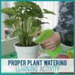 Proper Plant Watering Learning Activity for Kids - Happy Strong Home
