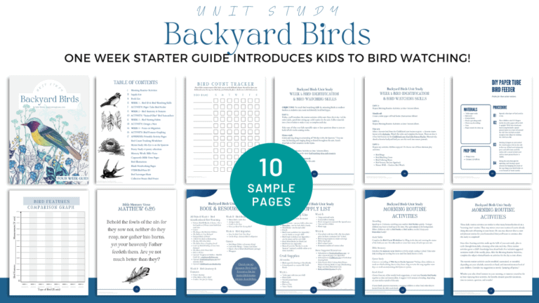 Share the Delight of Backyard Birds: Homeschool Unit Study - Happy ...