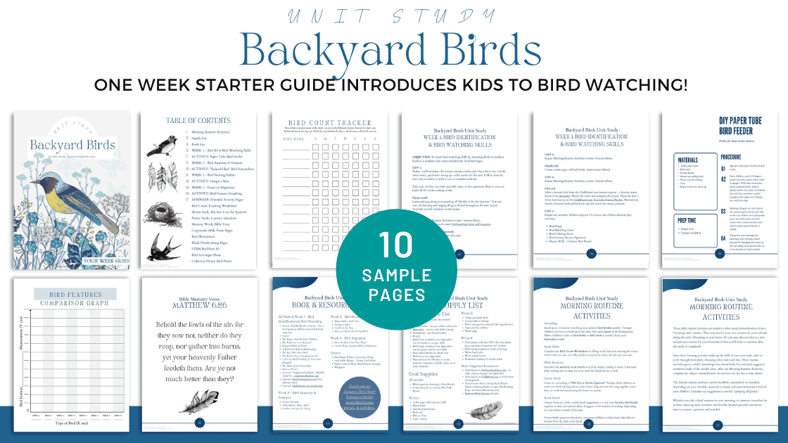 Share the Delight of Backyard Birds: Homeschool Unit Study - Happy ...