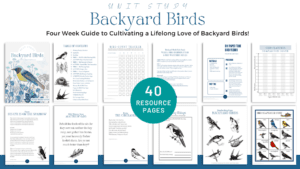 Share the Delight of Backyard Birds: Homeschool Unit Study - Happy ...