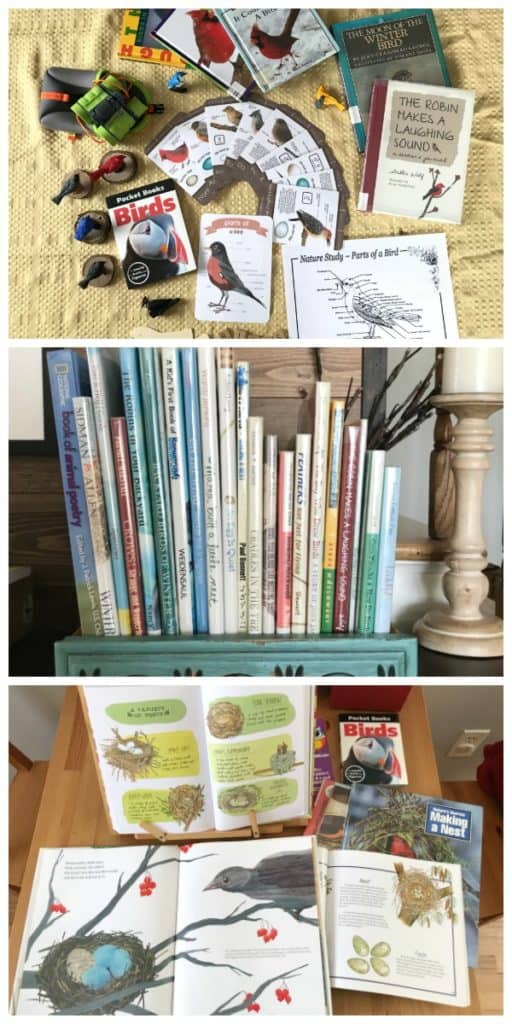 Share the Delight of Backyard Birds: Homeschool Unit Study - Happy ...