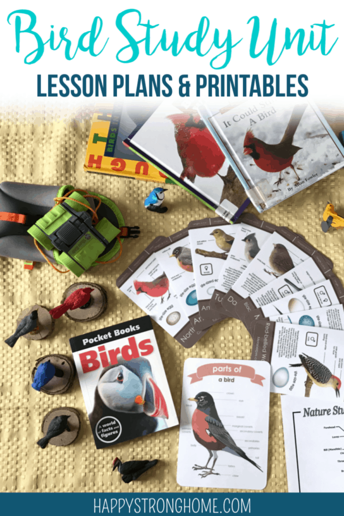 Share the Delight of Backyard Birds: Homeschool Unit Study - Happy ...