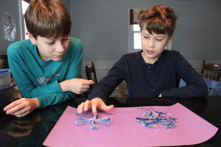 Two Ways to Make Your Own Snow Crystals - Happy Strong Home