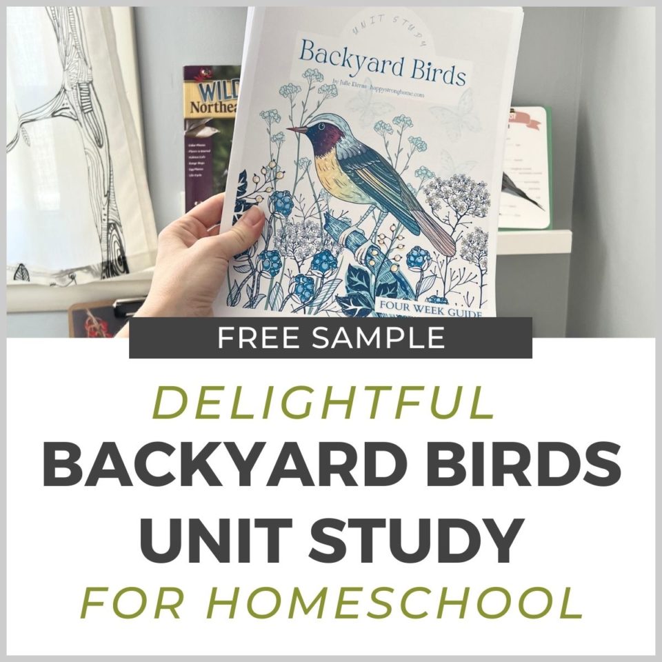 Inviting the Birds Into Our School Day: Birds Homeschool Unit