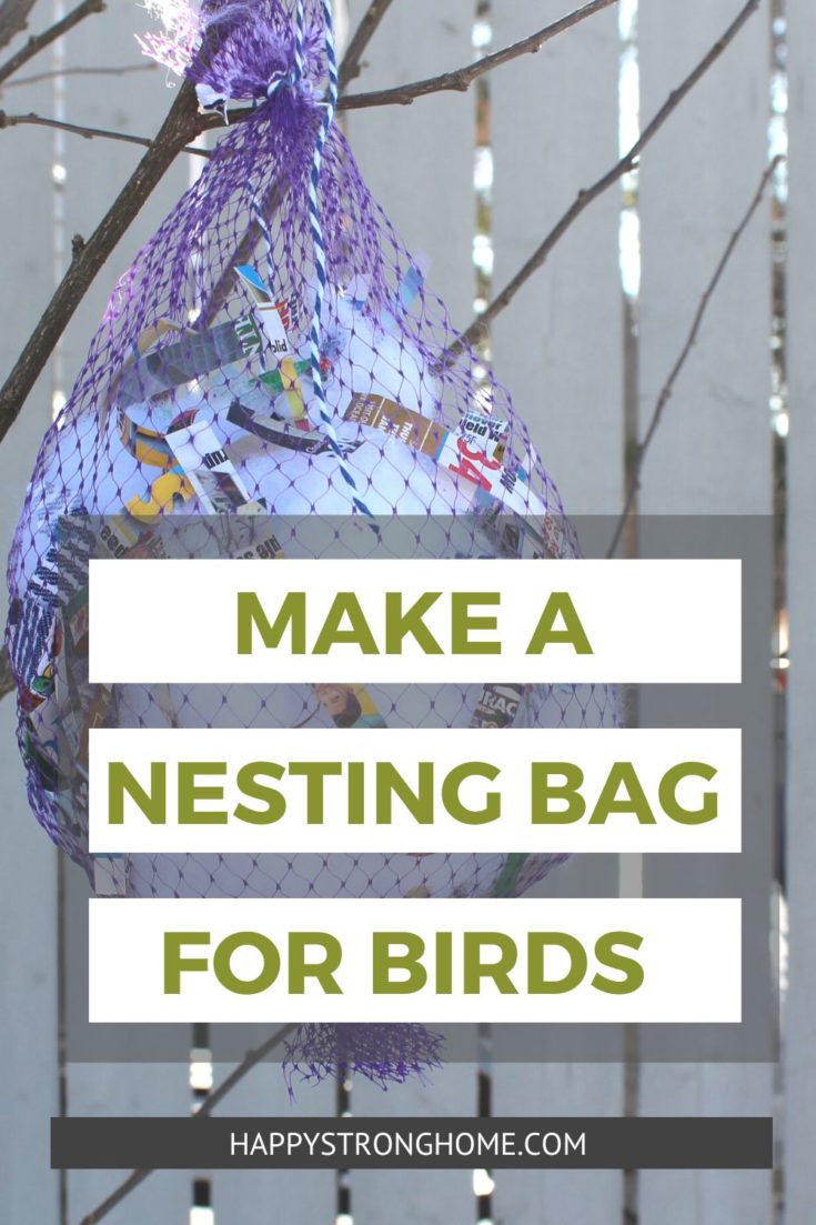 An Easy Nesting Bag for Birds: Recycled Materials Project