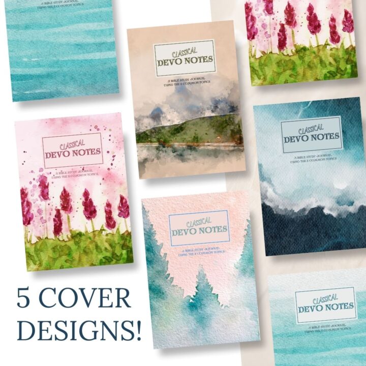 Applying the Five Common Topics to Bible Study: Go Deeper!