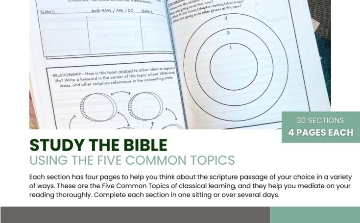 Applying the Five Common Topics to Bible Study: Go Deeper!